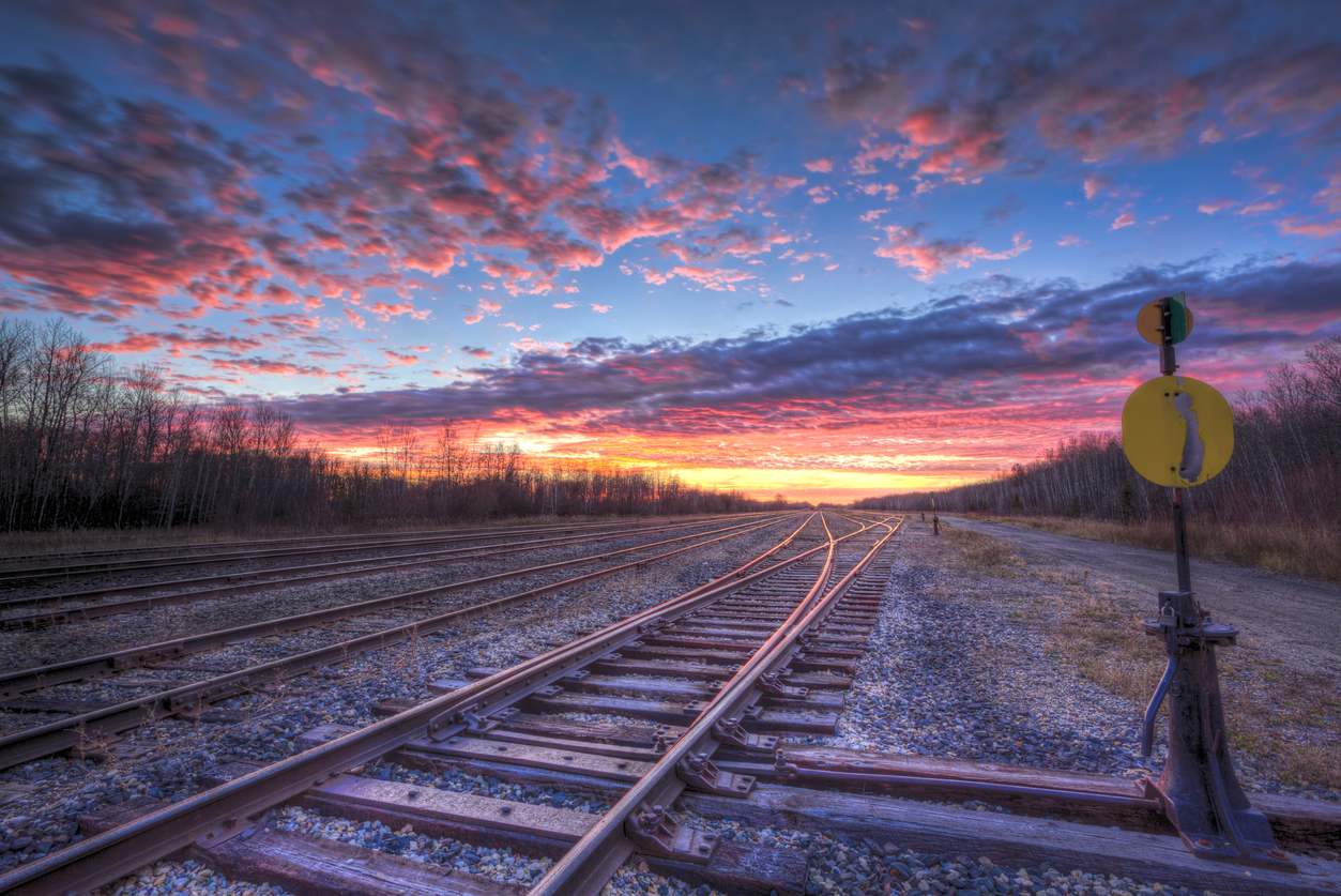 More About MSMA • MSMA